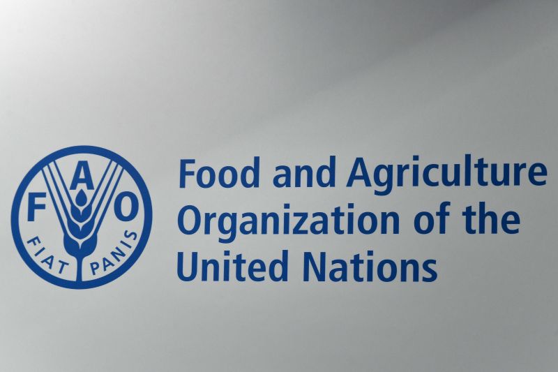 FAO alarmed over food insecurity in Myanmar | Mizzima Myanmar News and ...