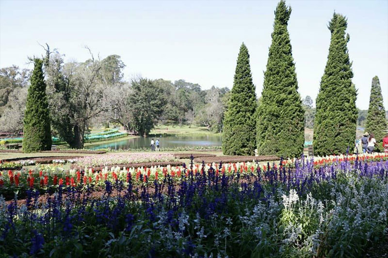 Flower festival continues in Pyin Oo Lwin | Mizzima Myanmar News and ...