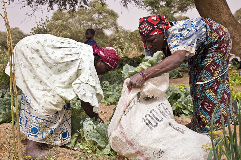 People living in famine-like conditions rose sixfold in 2020: Oxfam ...