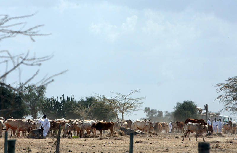 WTO addresses emergency response to food insecurity | Mizzima Myanmar ...