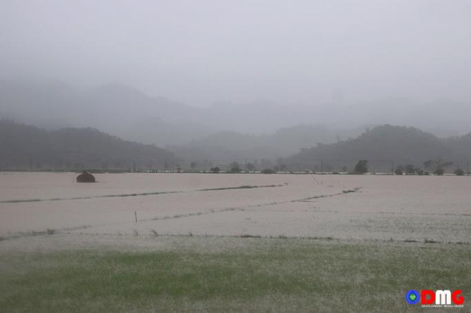 Rakhine rice farmers worry as flooding destroys paddy fields | Mizzima ...